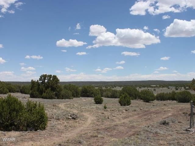 N8190, Concho, AZ 85924