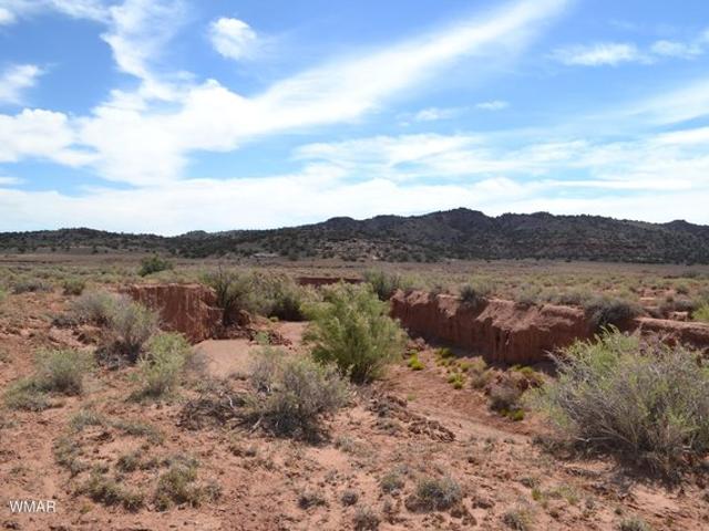 N8577 Rd Lots 18 & 19, Concho, AZ 85924
