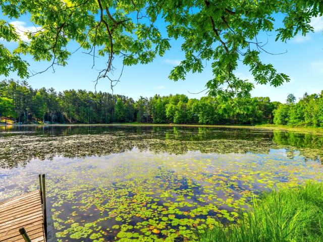 N8690 spruce lake drive