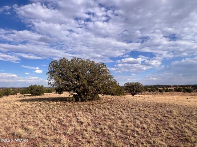 N9237 Miller Lane