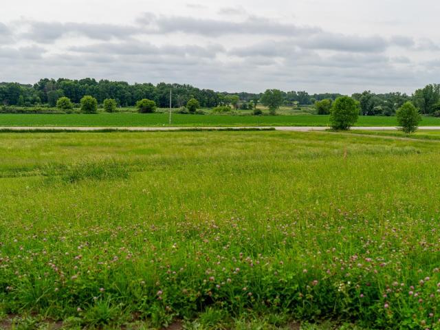 N9667 County C Road