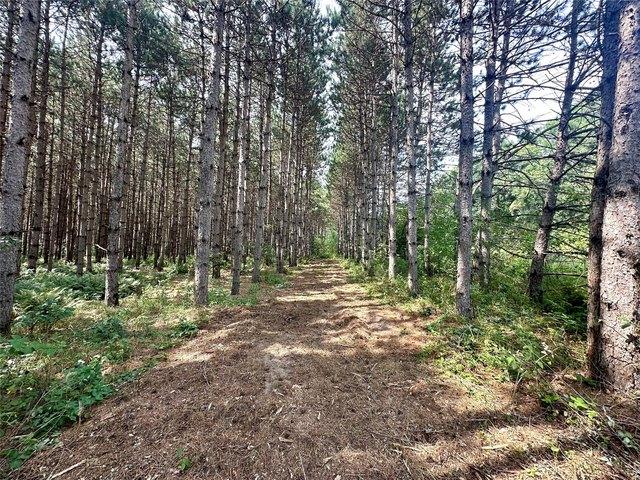 N9679 th St, Colfax, WI 54730