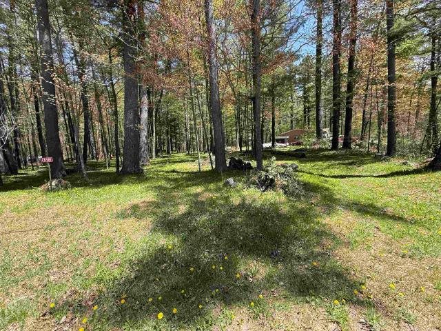 N981 grey eagle trail