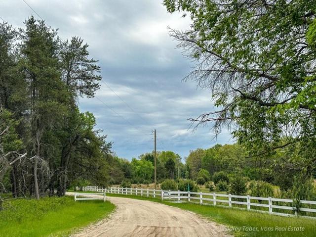 N Mac Rd, Irons, Home For Sale
