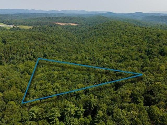 N Maple Rd, Mount Jackson, VA 22842