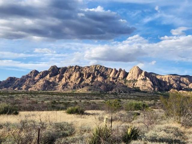 N Middlemarch Rd Unit 32, Tombstone, AZ 85638