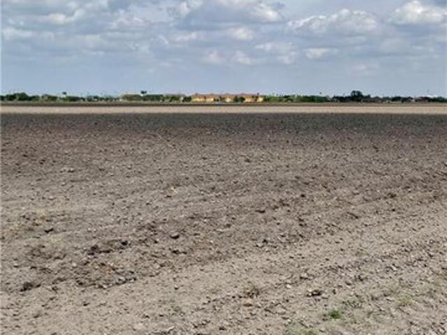 N Mile 16 Rd E, Elsa, TX 78543