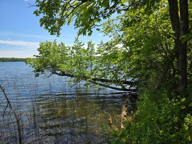 N Moose Lake Rd NE, Pennington, MN 56663
