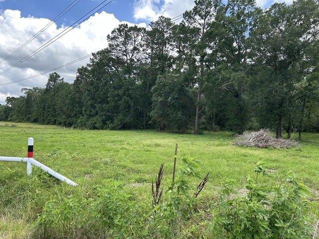 N Mount Mariah Rd, Montgomery, TX 77356