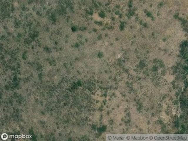 N Mountain Lion Pass Globe
