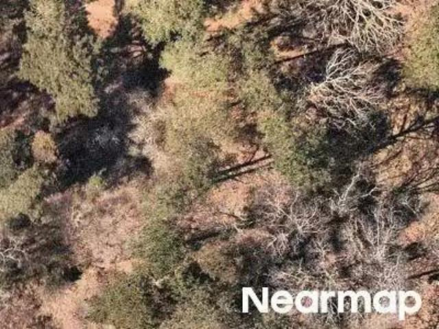 N Neck Rd