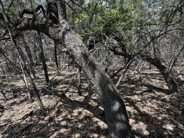 N Oak Lawn Dr, Bandera, TX 78003