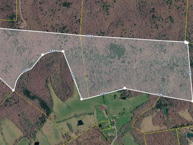 N Of Deer Lodge Hwy, Deer Lodge, TN 37726