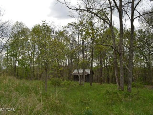 N Of Deer Lodge Hwy, Deer Lodge, TN 37726