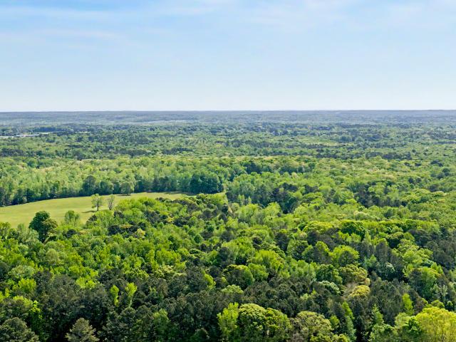 N OF 482 Antioch Road 25.596 Acres