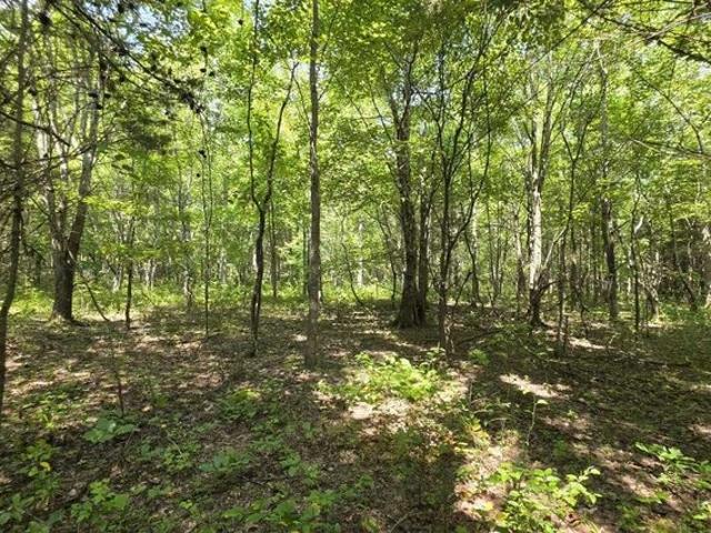 N Old Military Rd, Summertown, TN 38483