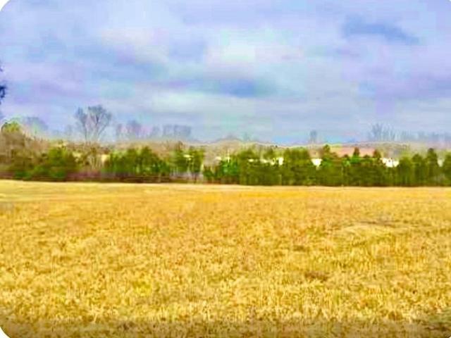 N Old Mt Juliet Rd, Mount Juliet, TN 37122