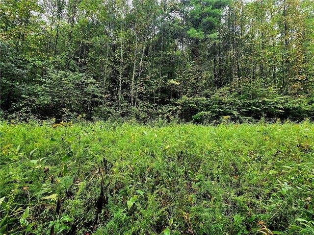 N Old NC Highway 16 Lot 6, Millers Creek, NC 28651