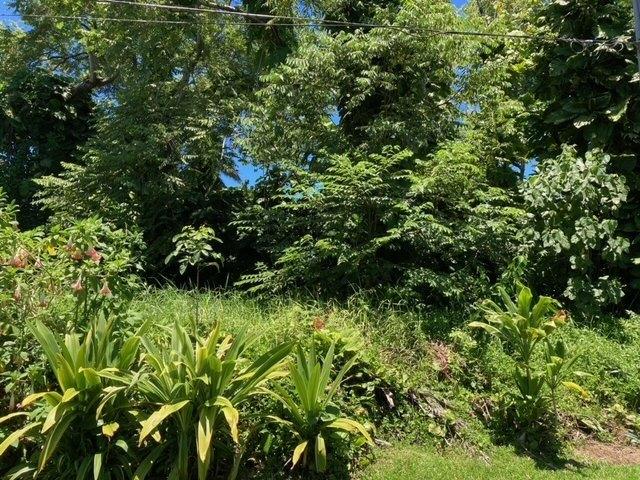 N Opihi St, Pahoa, HI 96778