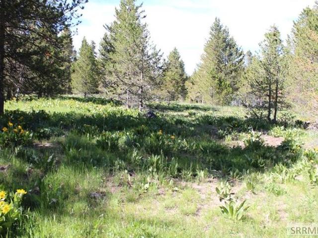 N Buffalo Dr, Island Park, ID 83429