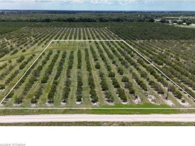 N Bailey Rd, Wauchula, FL 33873