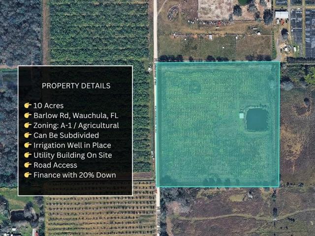 Barlow Rd, Wauchula, FL 33873