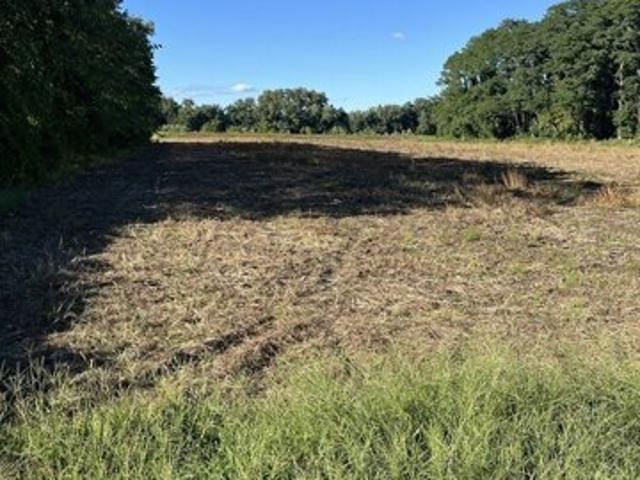 N Branch Rd, Hadley, Plot For Sale