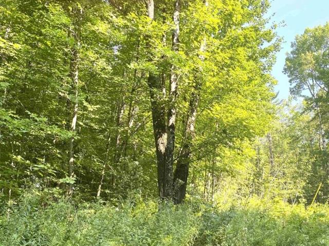 N Branch Rd, Ripton, Plot For Sale