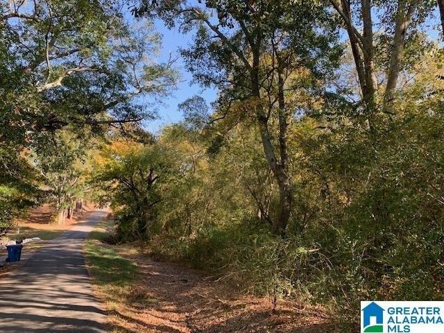 N Braswell St Lot 3, Snead, AL 35952