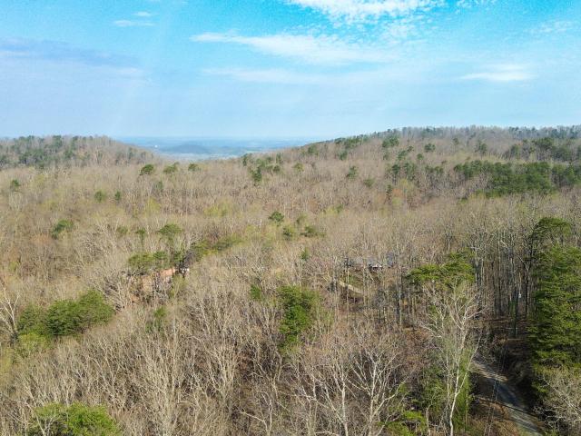 N Cunningham Rd, Seymour, TN 37865
