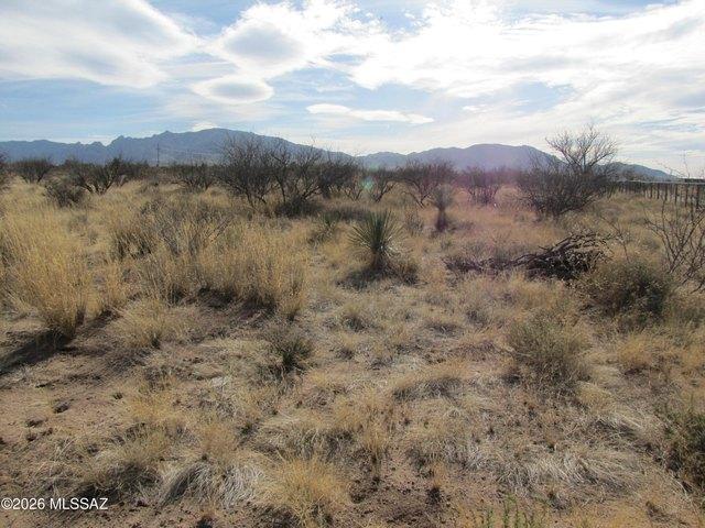 N Cutting Horse Ln, Cochise, AZ 85606