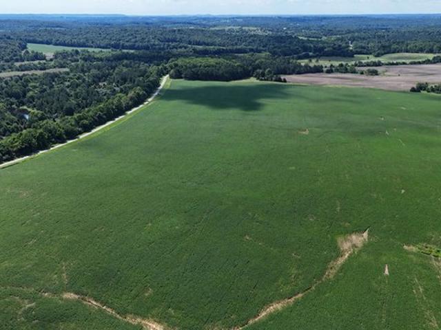 N Campbell Cemetery Rd, Crofton, KY 42217