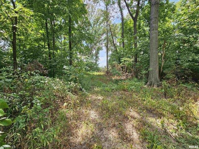 N Cash Ln, Waltonville, IL 62894