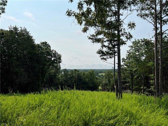 N Center Loop Lot 0, Harrison, AR 72601