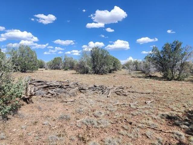 N Cienega Parcel B, Williams, AZ 86046