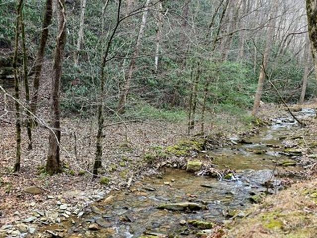 N Clear Fork Rd Lot 2, Sevierville, TN 37862