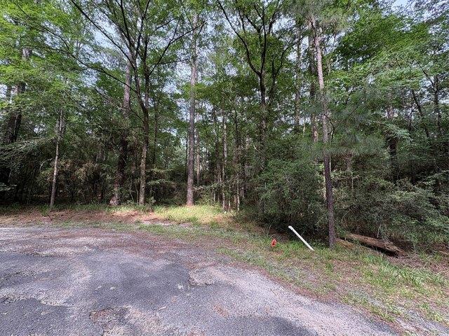 N Clear Spring Rd, Trinity, TX 75862