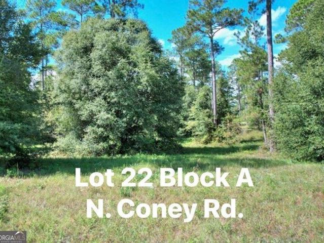 N Coney Block A Rd Lot 22, Cordele, GA 31015