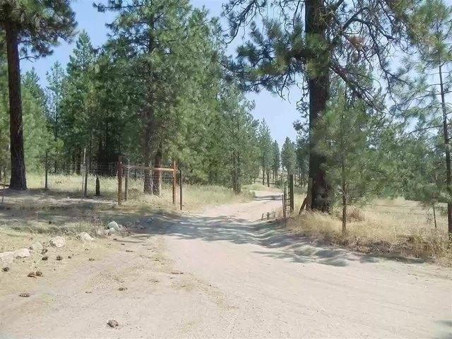 N Corkscrew Canyon Rd, Tumtum, WA 99013