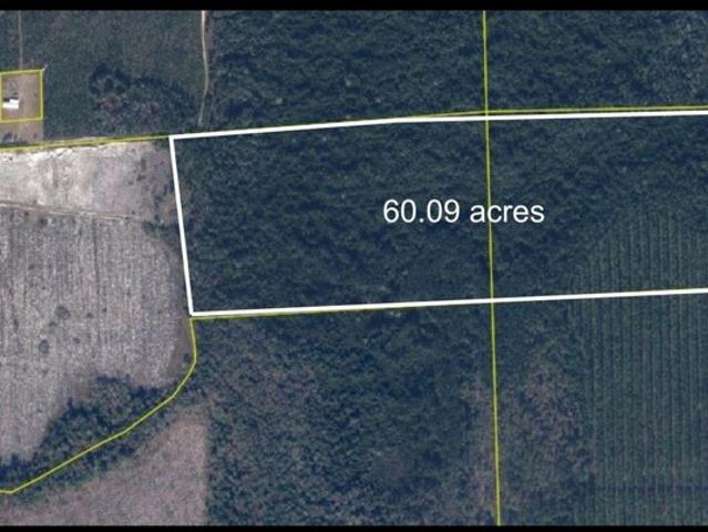 N County Road,raiford, Plot For Sale