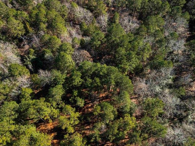 N County Road 2138, Tatum, TX 75691
