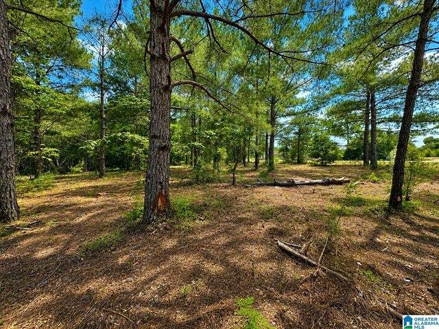 N County Road 21, Prattville, AL 36051
