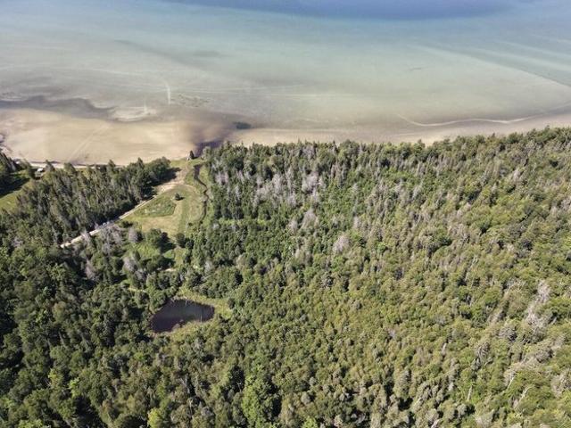 N County Road 379, McMillan, MI 49853