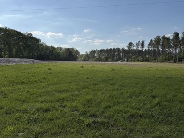 N County Road 4050, Lovelady, TX 75851