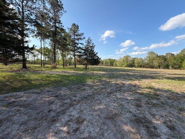N County Road 4050, Lovelady, TX 75851