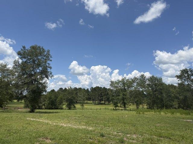 N County Road 4050 Tract # 1, Lovelady, TX 75851