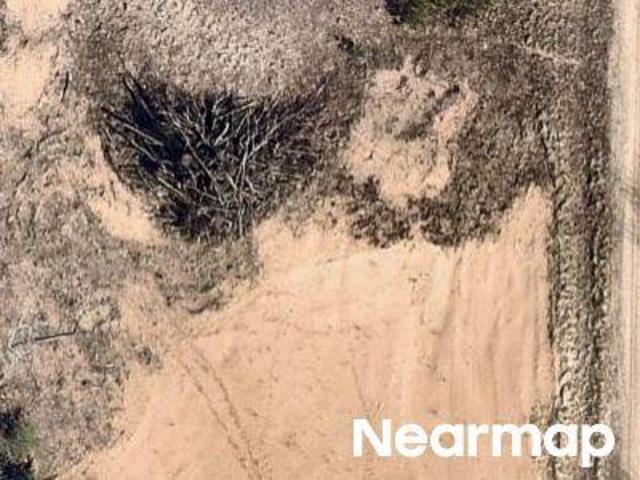N Dune Grass Trl