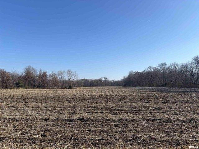 N Dartmouth Ln, Mtvernon, IL 62864