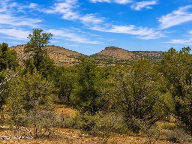 N Dominique Dr, Chino Valley, AZ 86323
