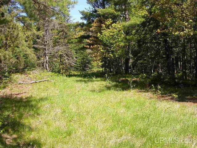 N Eliza Creek Ln Lot 29, Eagle Harbor, MI 49950